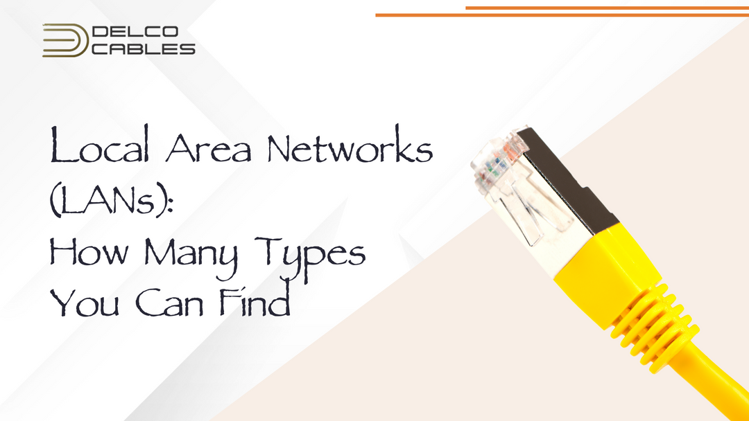 Local Area Networks (LANs): How Many Types You Can Find – Delco Cables